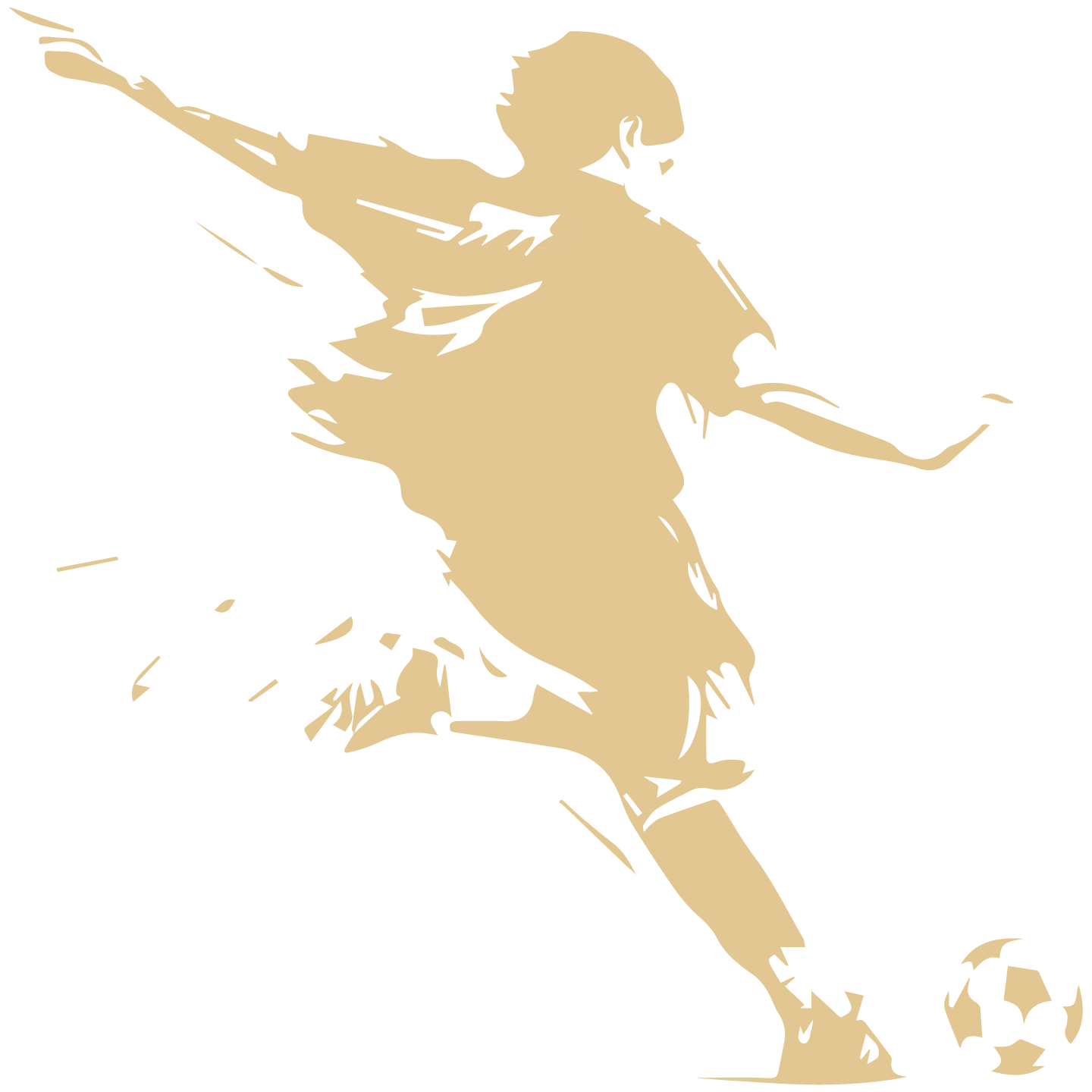 Online Store – FTBL Academy